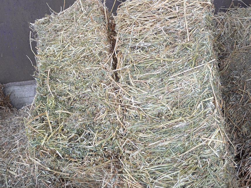 Продам сено в тюках и рулонах