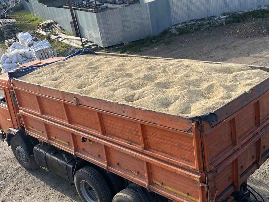 Зерно пшеница ячмень