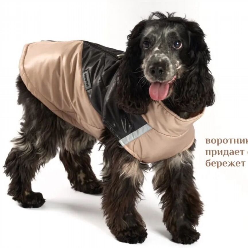Жилетка для собак
