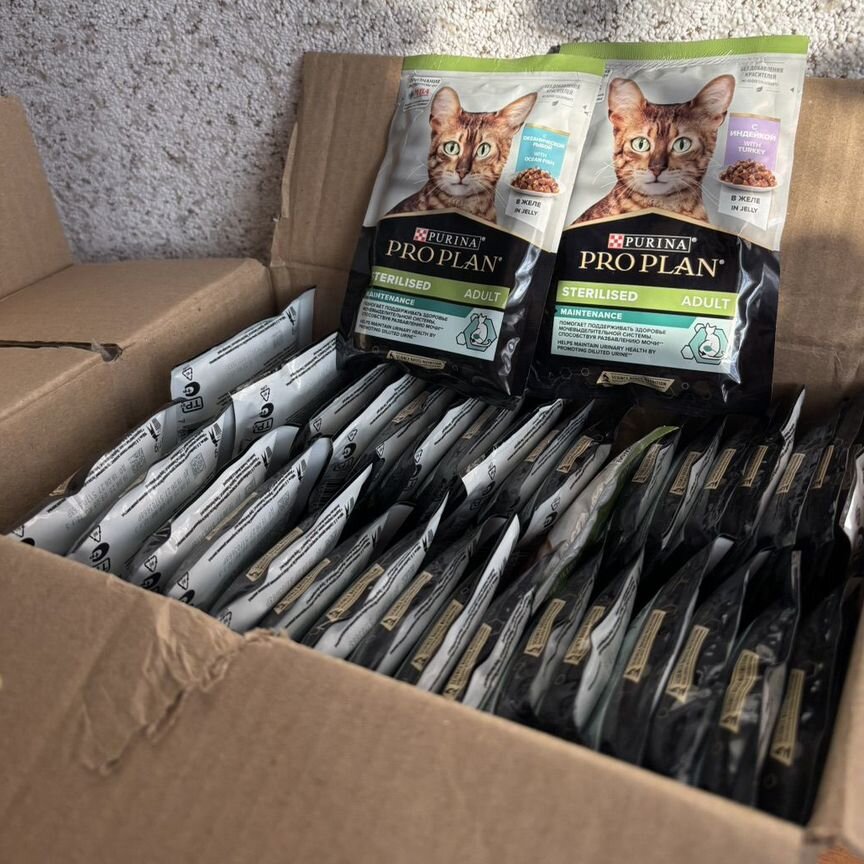 Корм для кошек проплан влажный