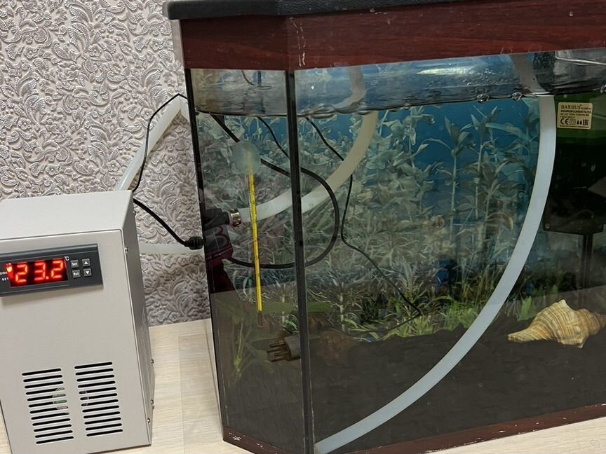 Аквариум с охлаждающей установкой