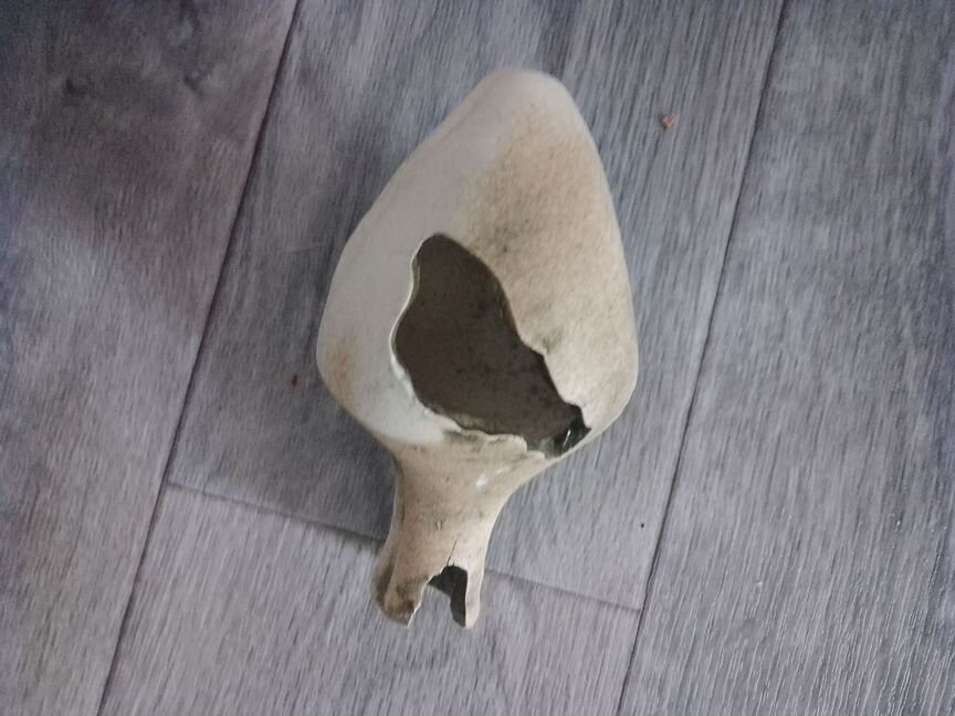 Продам гроты в акариум