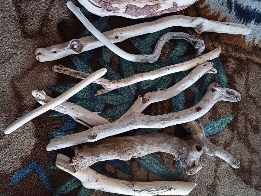 Коряга мангровая для аквариума