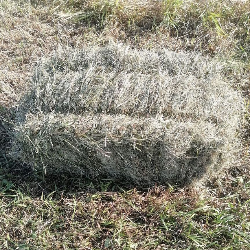 Сено в тюках, костёр