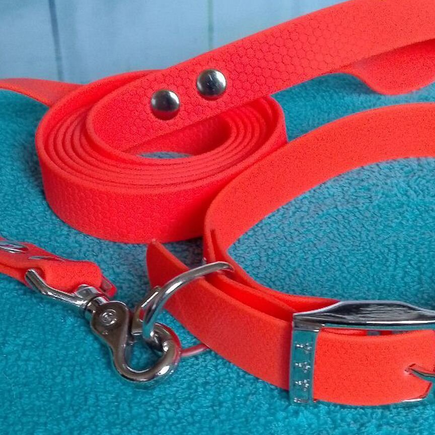 Ошейник и поводок для собак