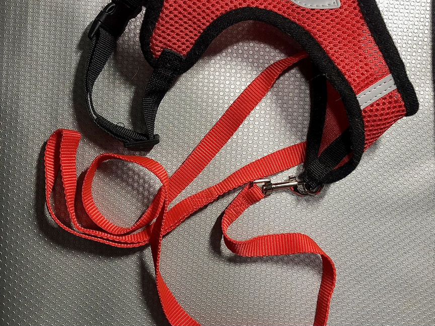 Шлейка отдам