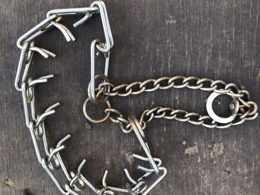 Поводок строгий ошейник