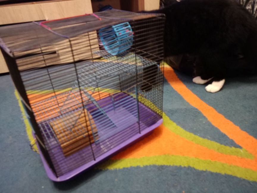 Клетка для хомяка