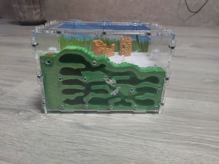 Формикарий