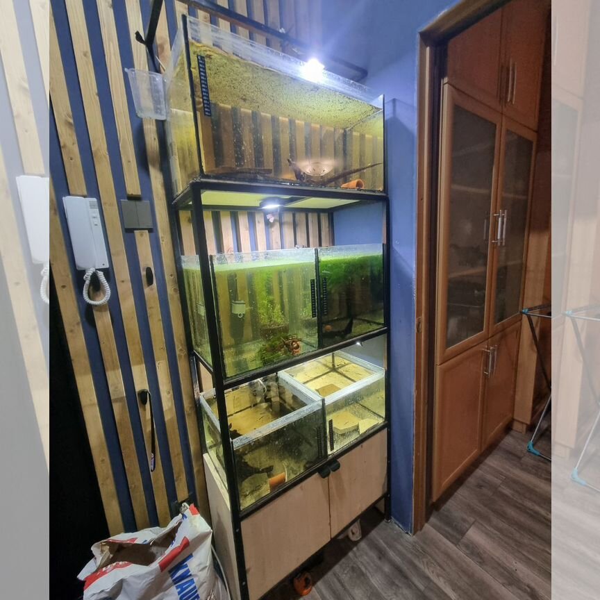 Стеллаж с аквариумами