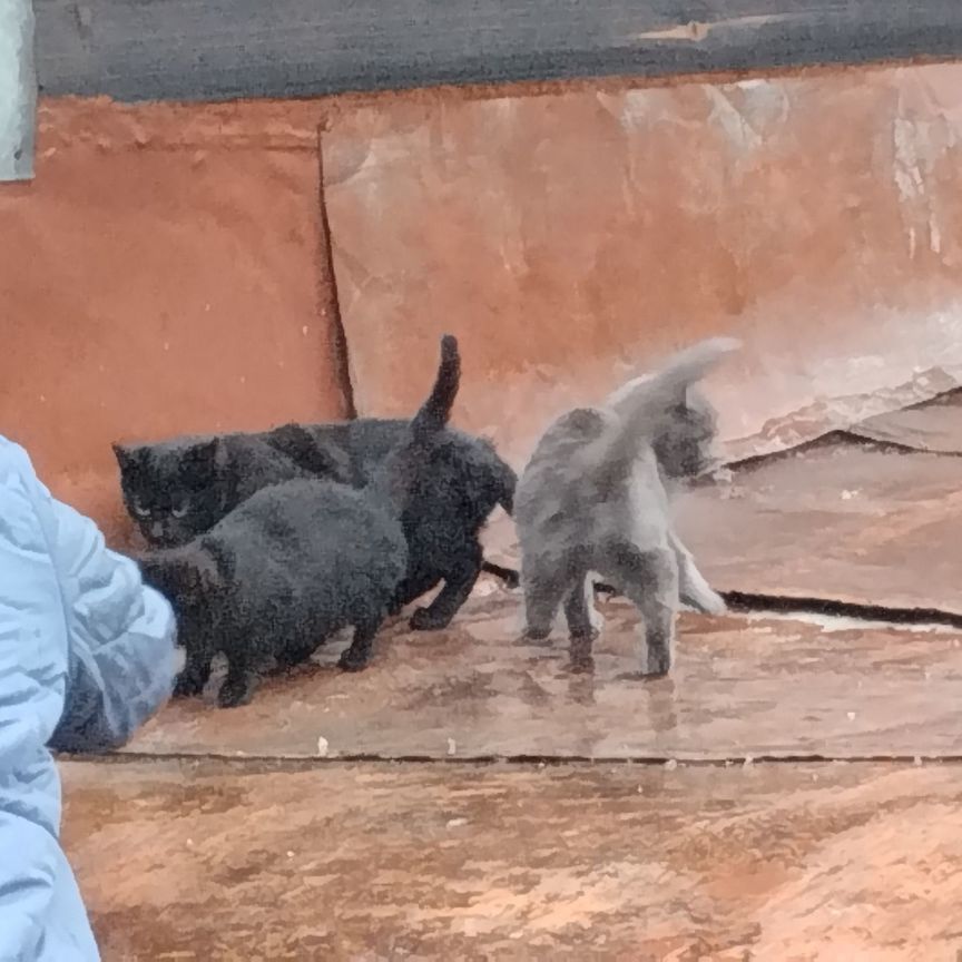 Скоро холода