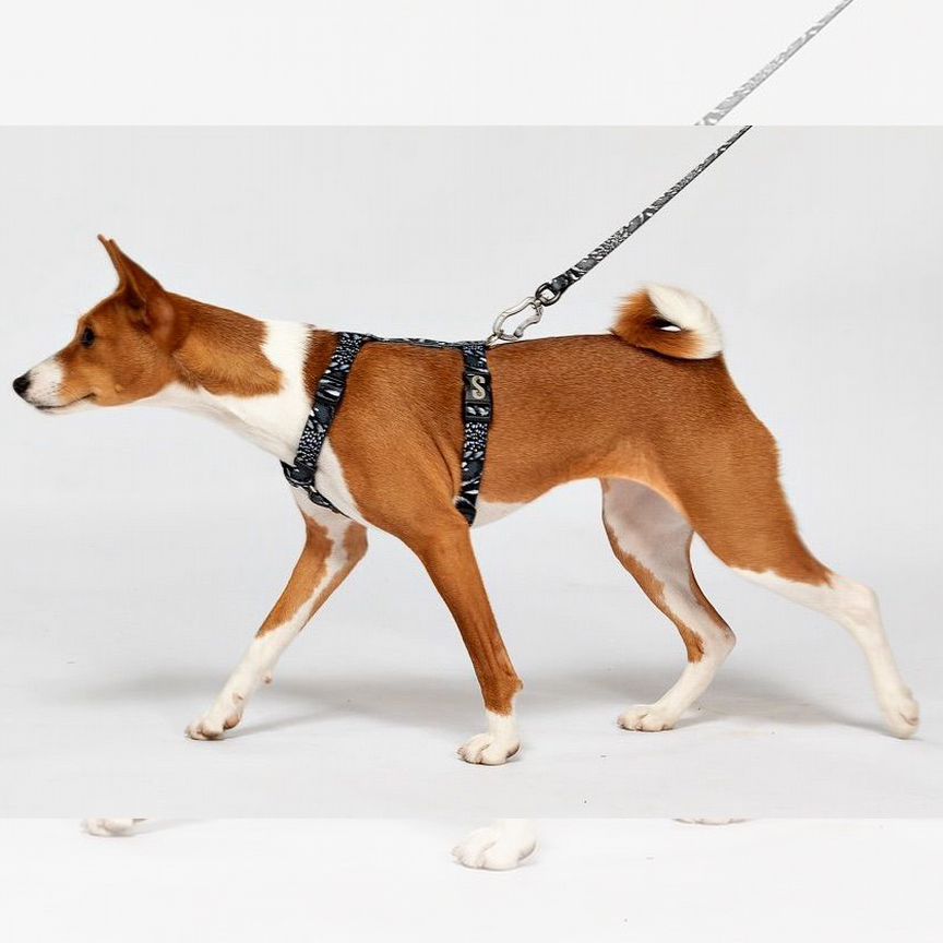 Шлейка и поводок-перестежка Sobakin коллекция Сова