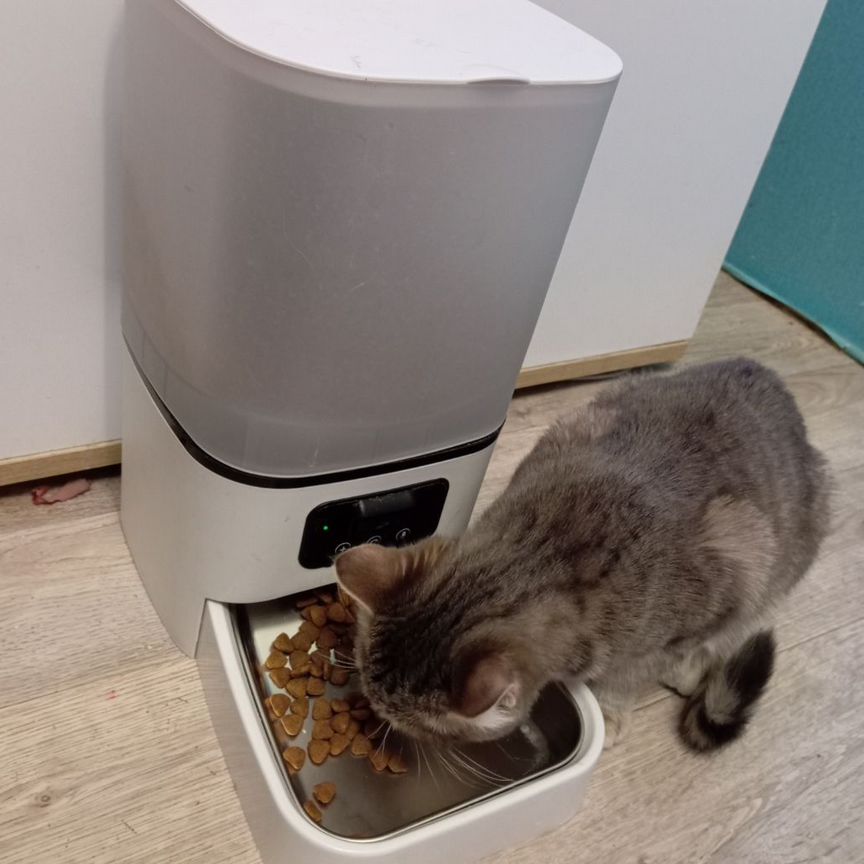 Автоматическая кормушка для кошек с камерой