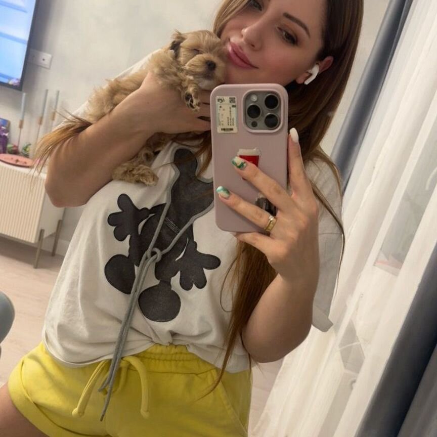 Мальтипу, щенок