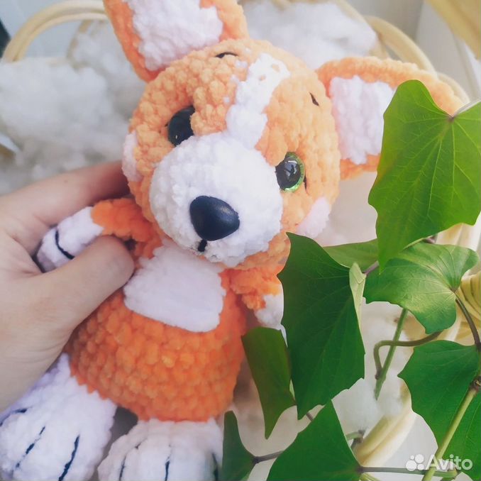 Корги щенок