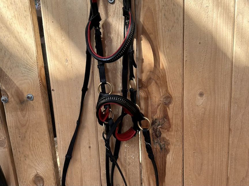 Уздечка безтрензельная