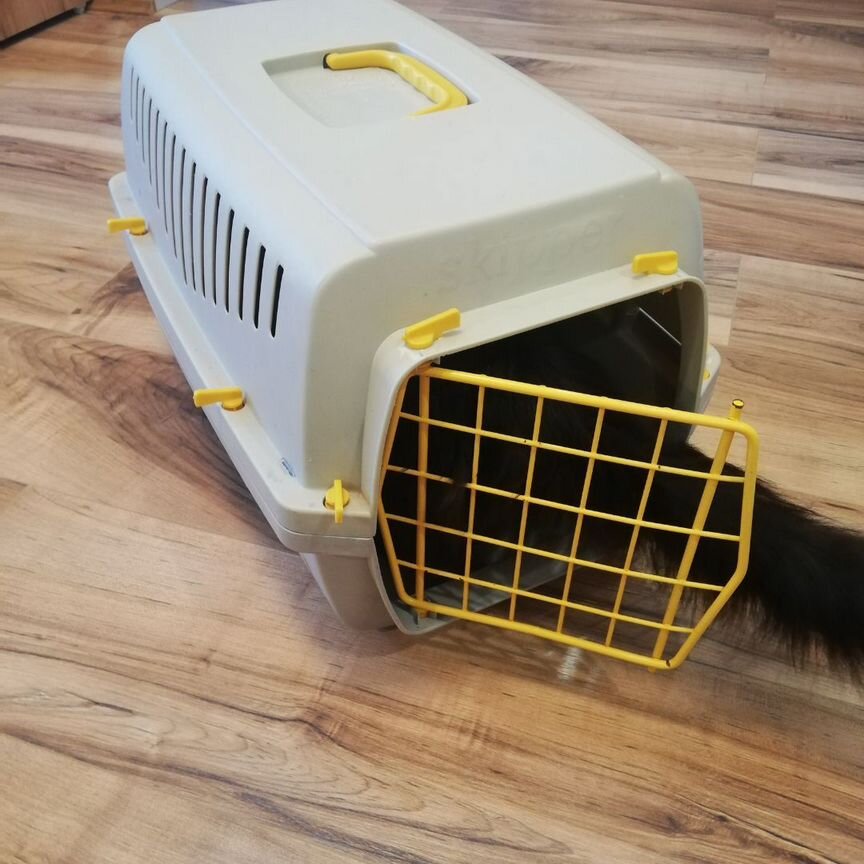 Переноска для кошек пластиковая б/у