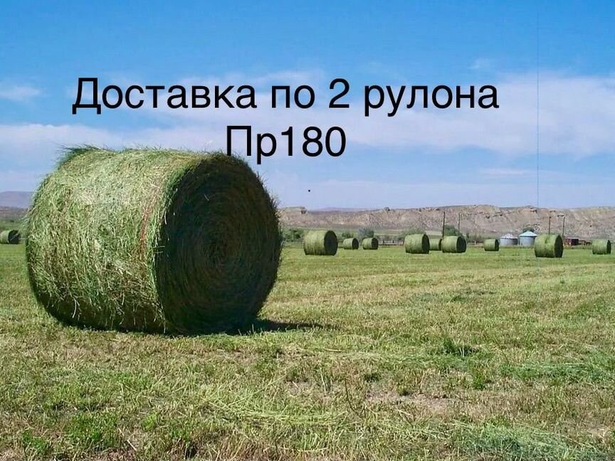Сено гороховое