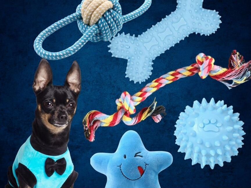Игрушки для собак