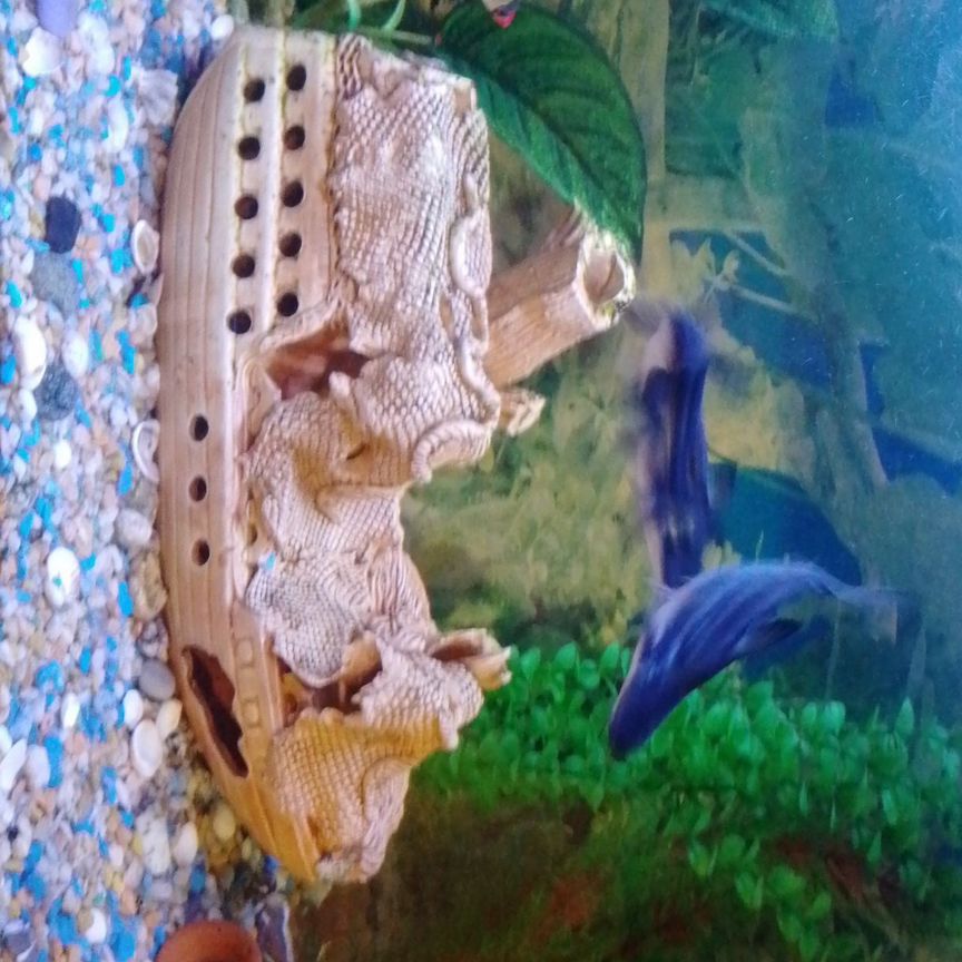 Продам аквариум на 170 л