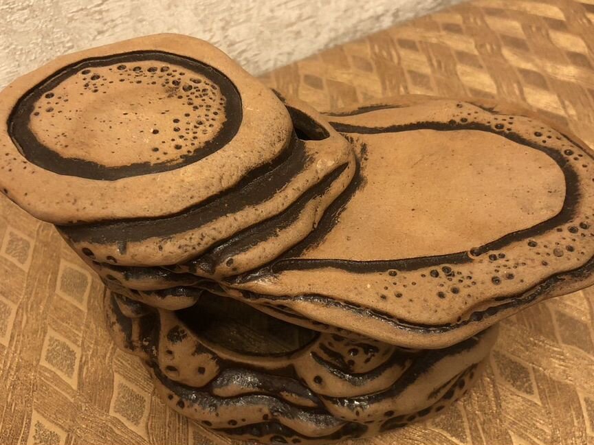 Островок для черепахи