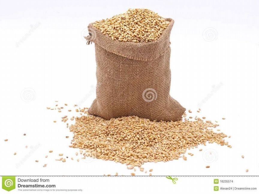 Пшеница и ячмень