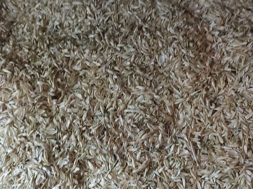 Продам зерно отходы (шелуха)