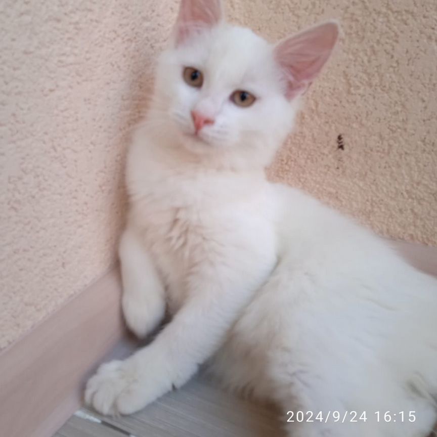 Малышка Люси