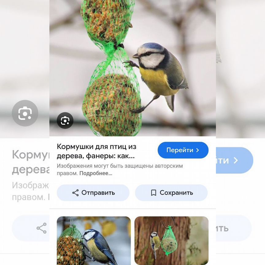 Кормушка для птиц