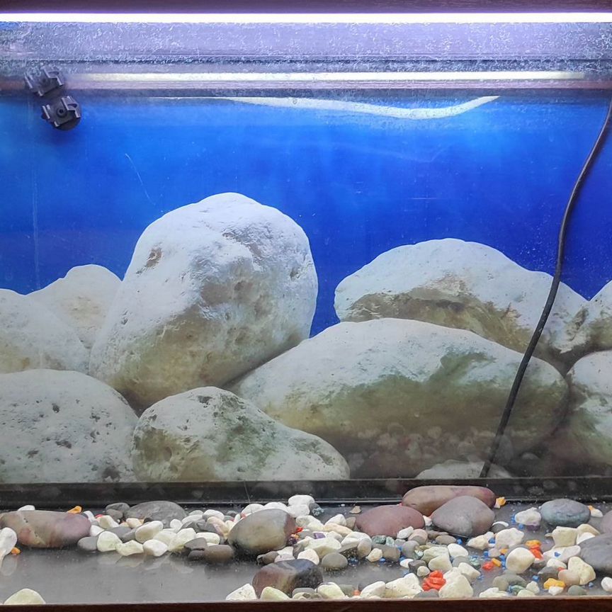 Аквариум с тумбой на 80 литров