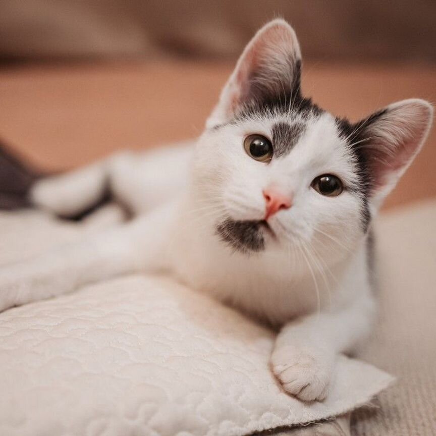 Выживал в картонной коробке за ТЦ