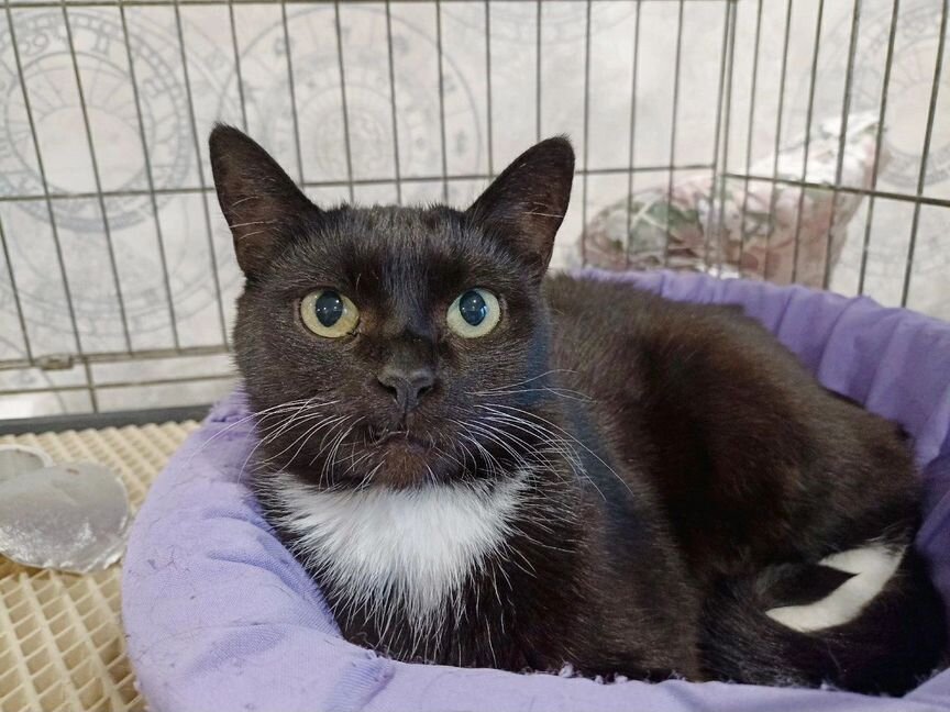 Очень нужен дом