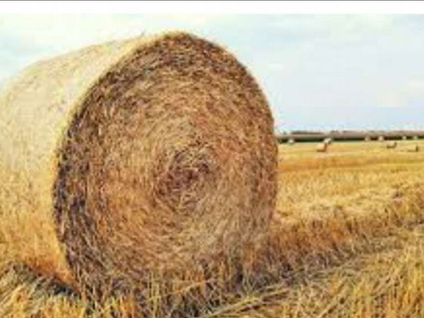 Солома в рулонах