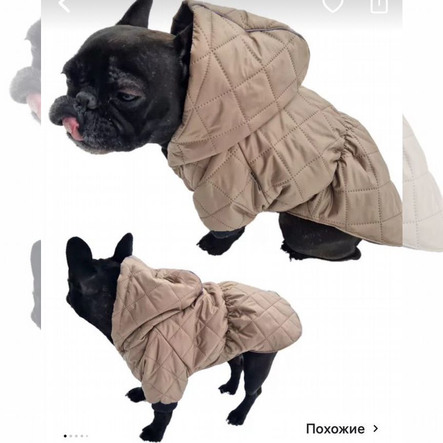 Куртка на бульдога бу