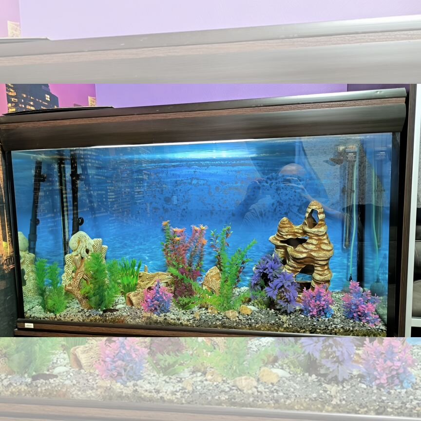 Продажа аквариума