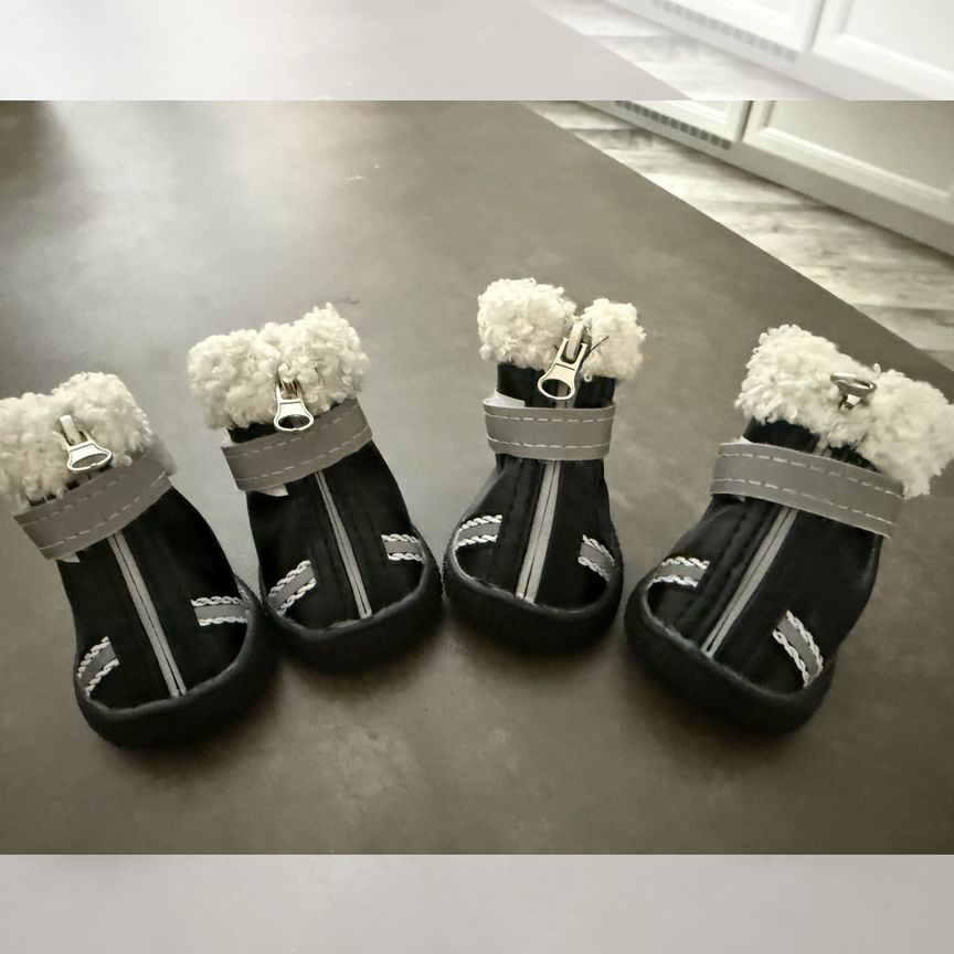 Ботинки для маленьких собак размер 3