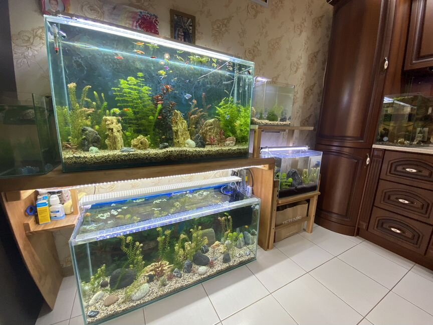 Аквариум 180 литров
