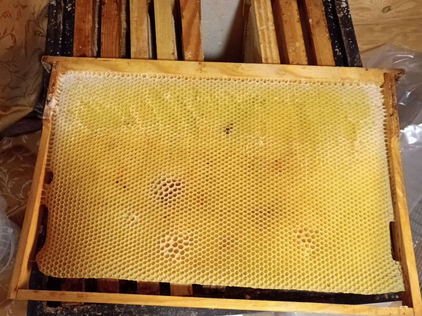 Сушь дадан для пчёл