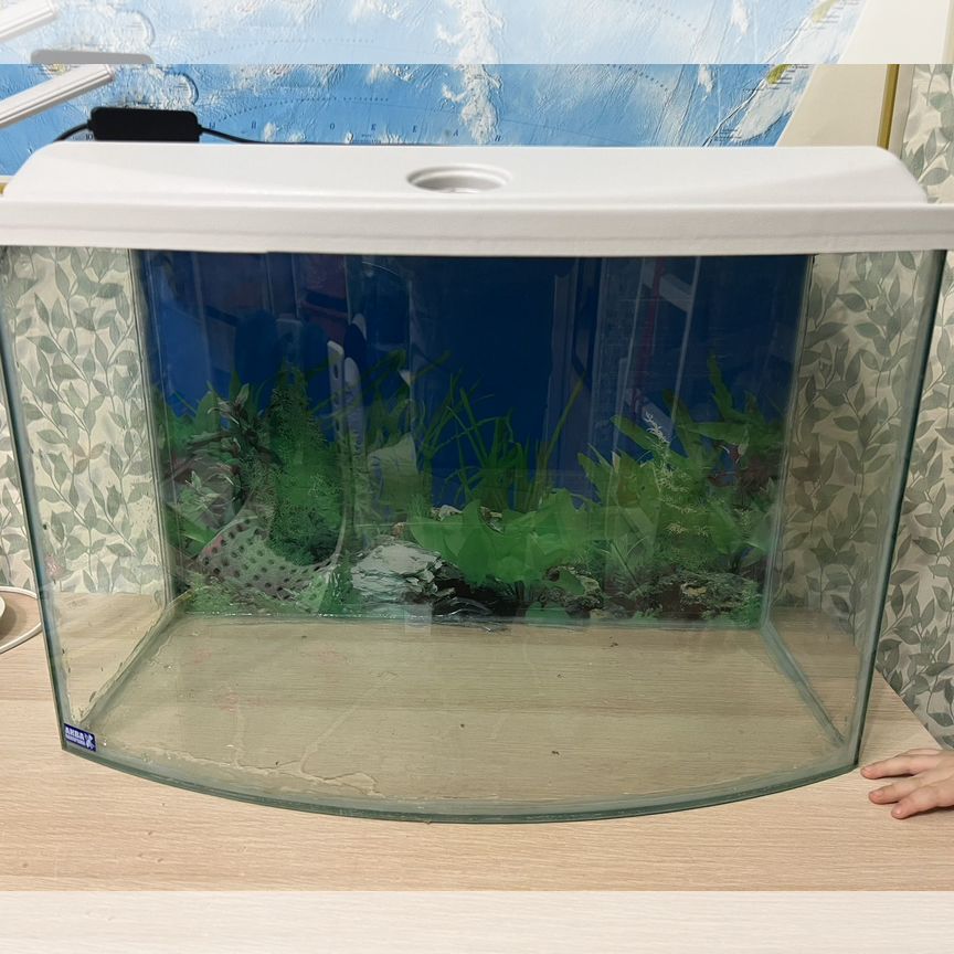 Аквариум 60 литров панорамный