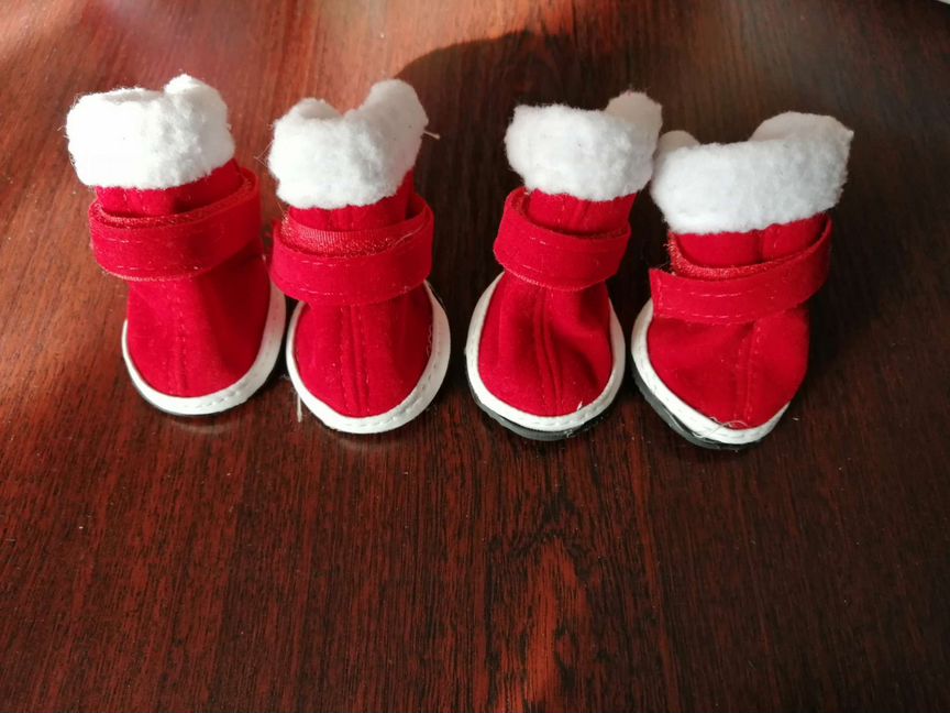 Обувь для собак