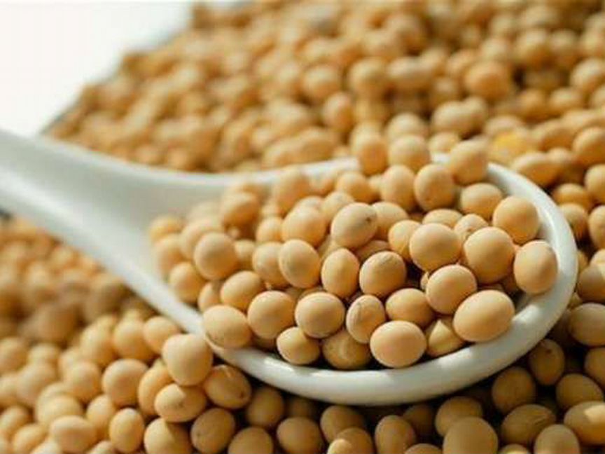 Шрот соевый 46-48 44р за кг