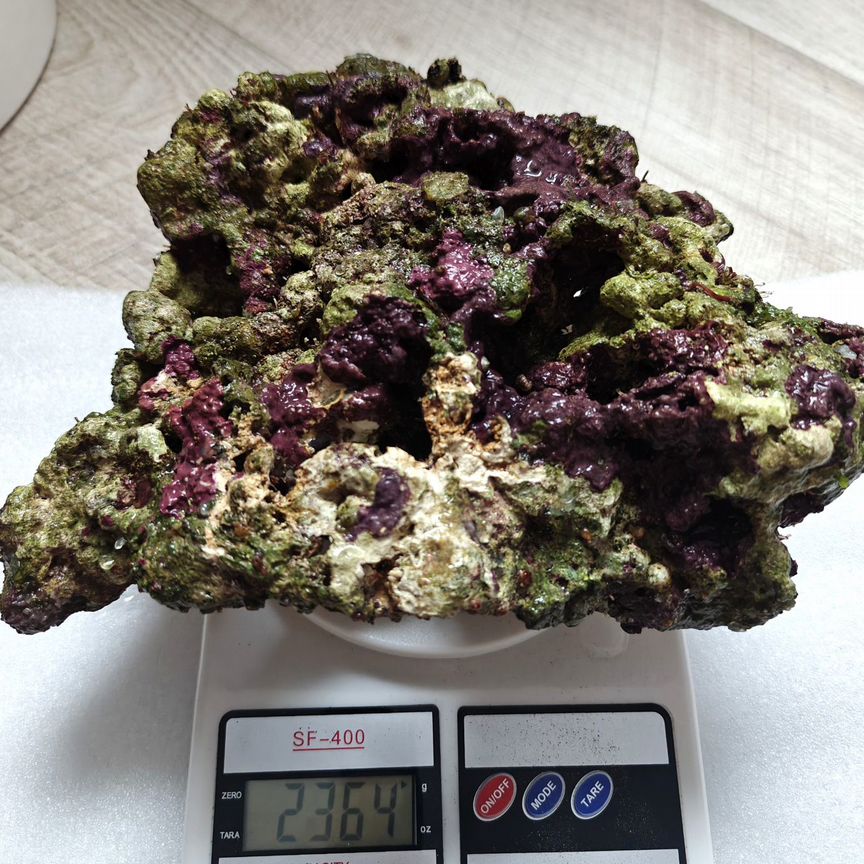 Камень для морского аквариума