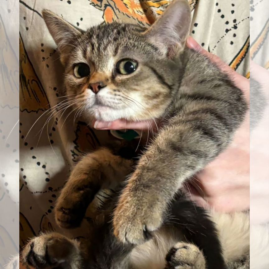 Римма- 4 месяца