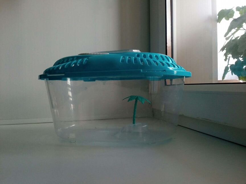 Переноска, аквариум