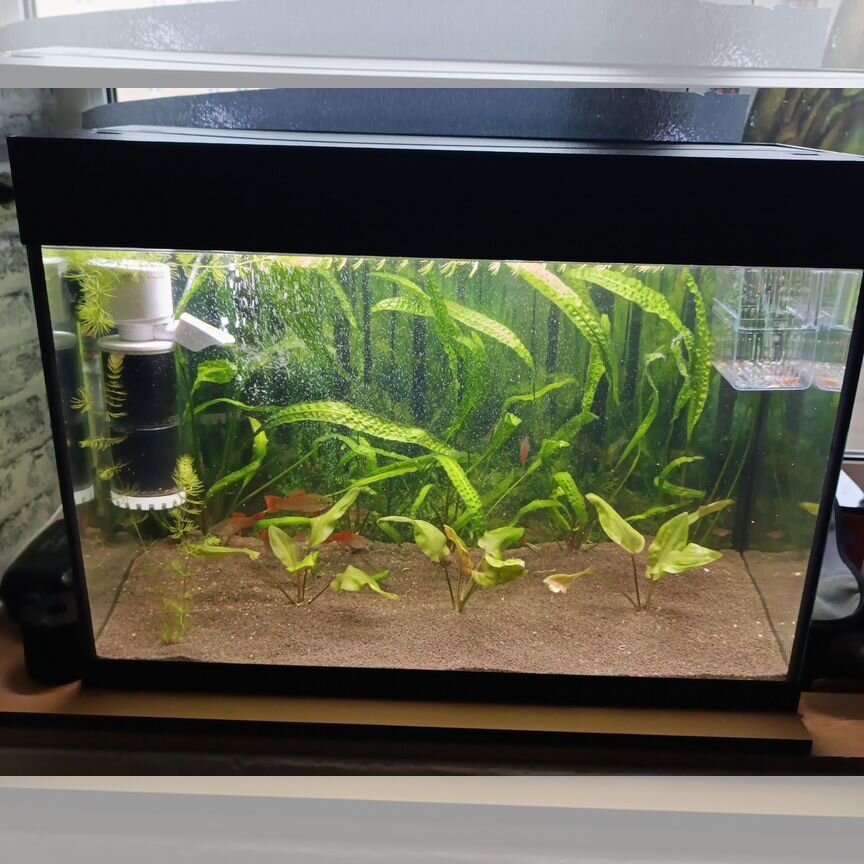 Аквариум 100 и 20 литров полный комплект