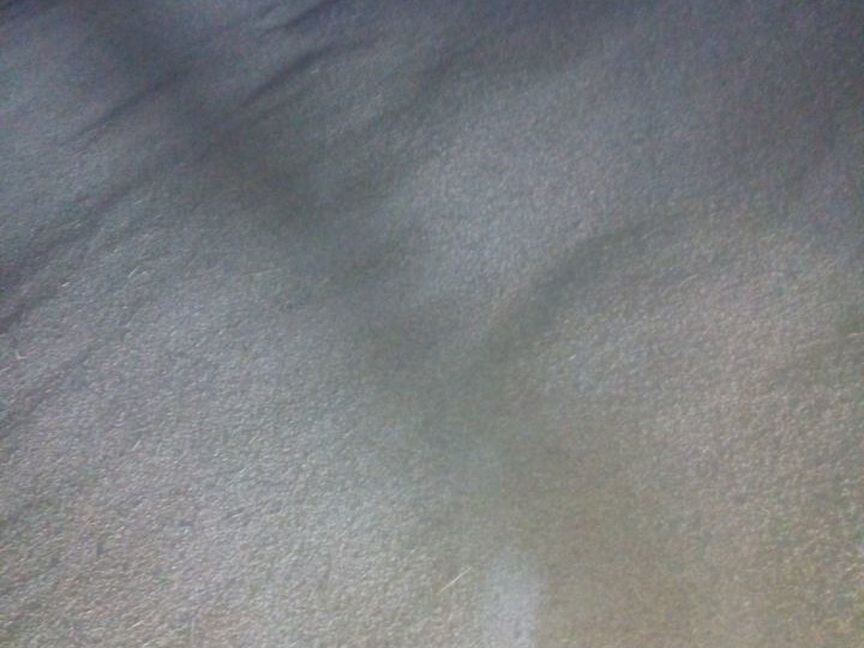 Ячмень рожь пшеница