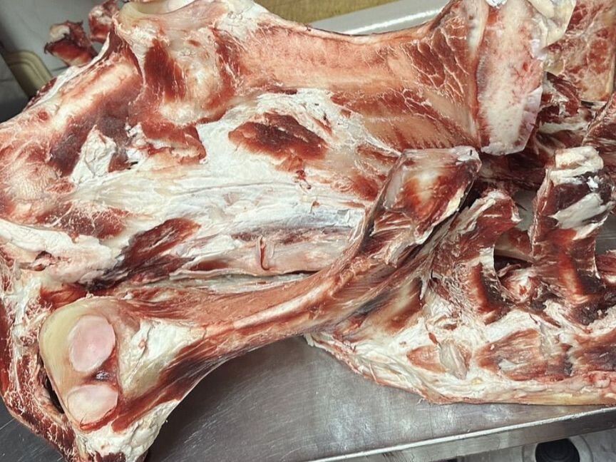 Собачья радость