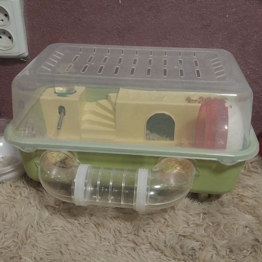 Клетка с хомяком джунгариком Васей