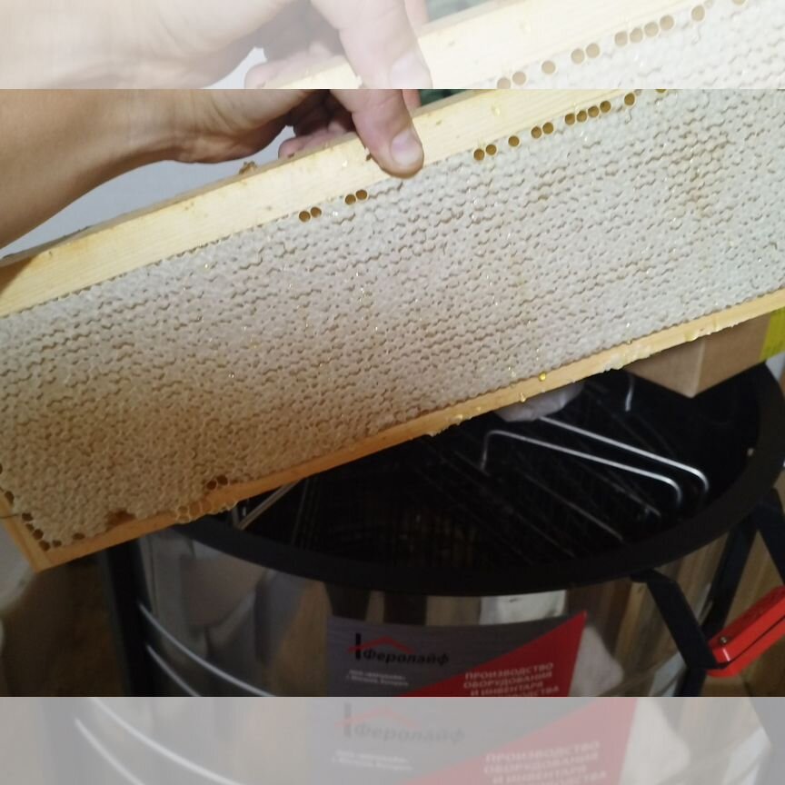 Соты и мини соты