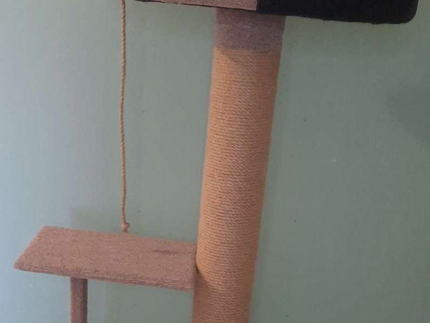 Когтеточка